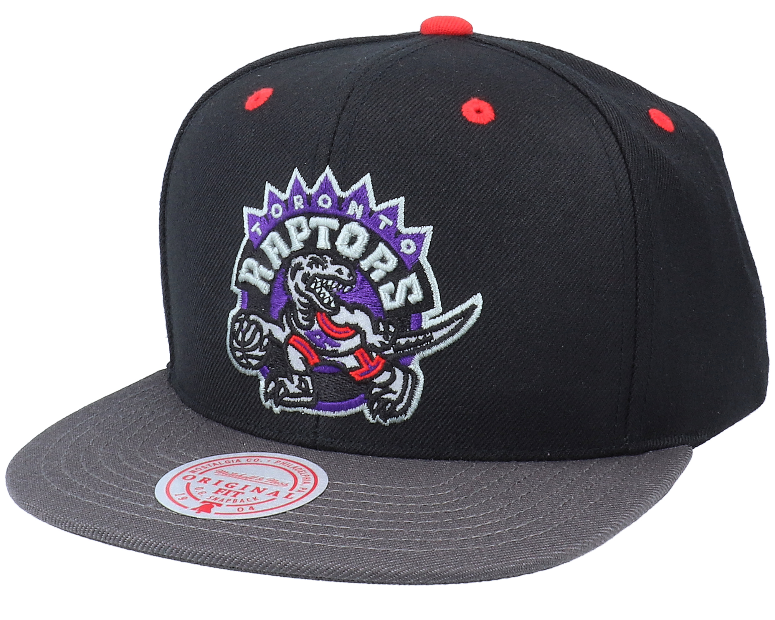 Toronto Raptors Xl Iridescent Black Snapback | Hatstoreworld.com