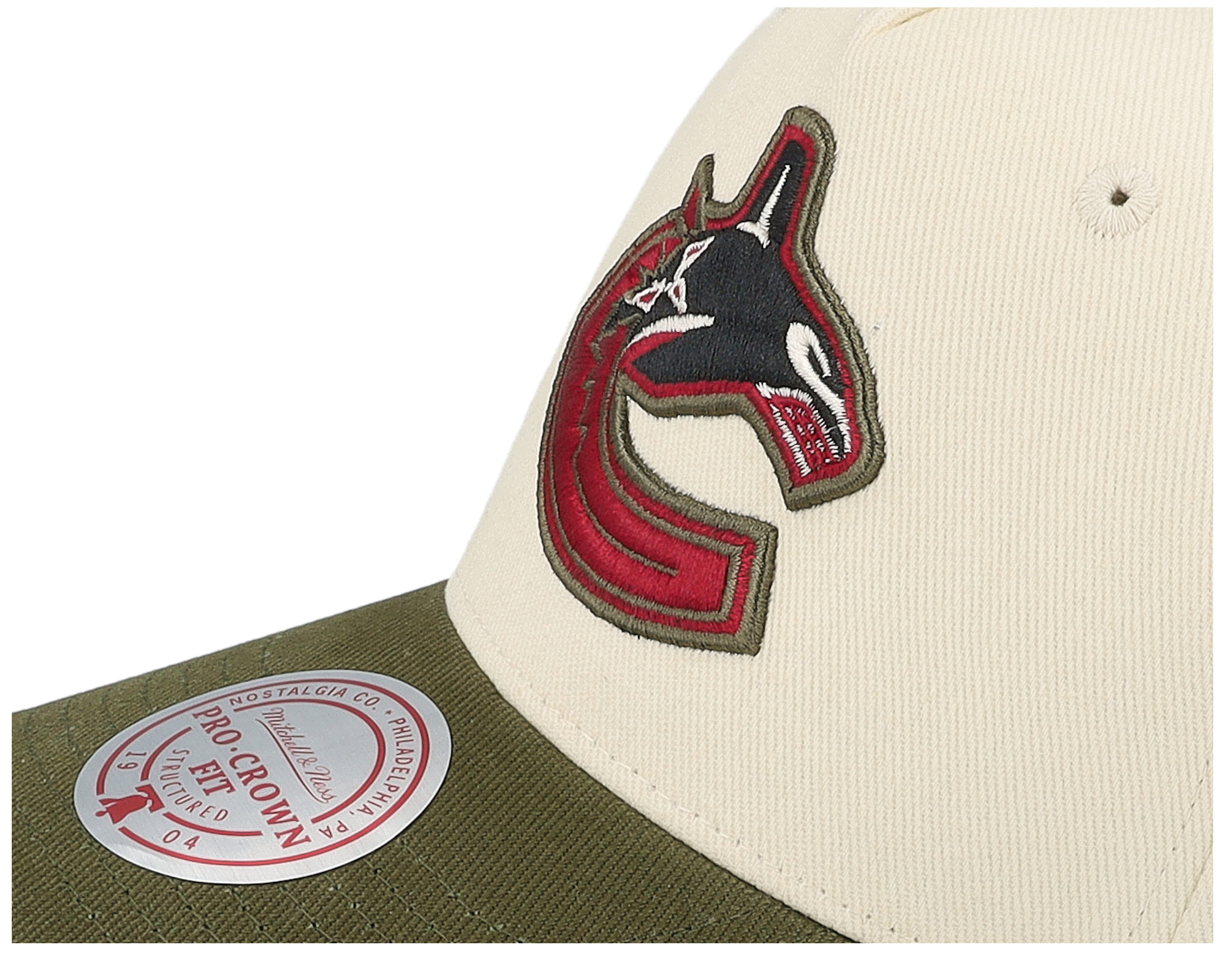 Hatstore Exclusive x Vancouver Canucks Pro Crown White/Green A-frame ...