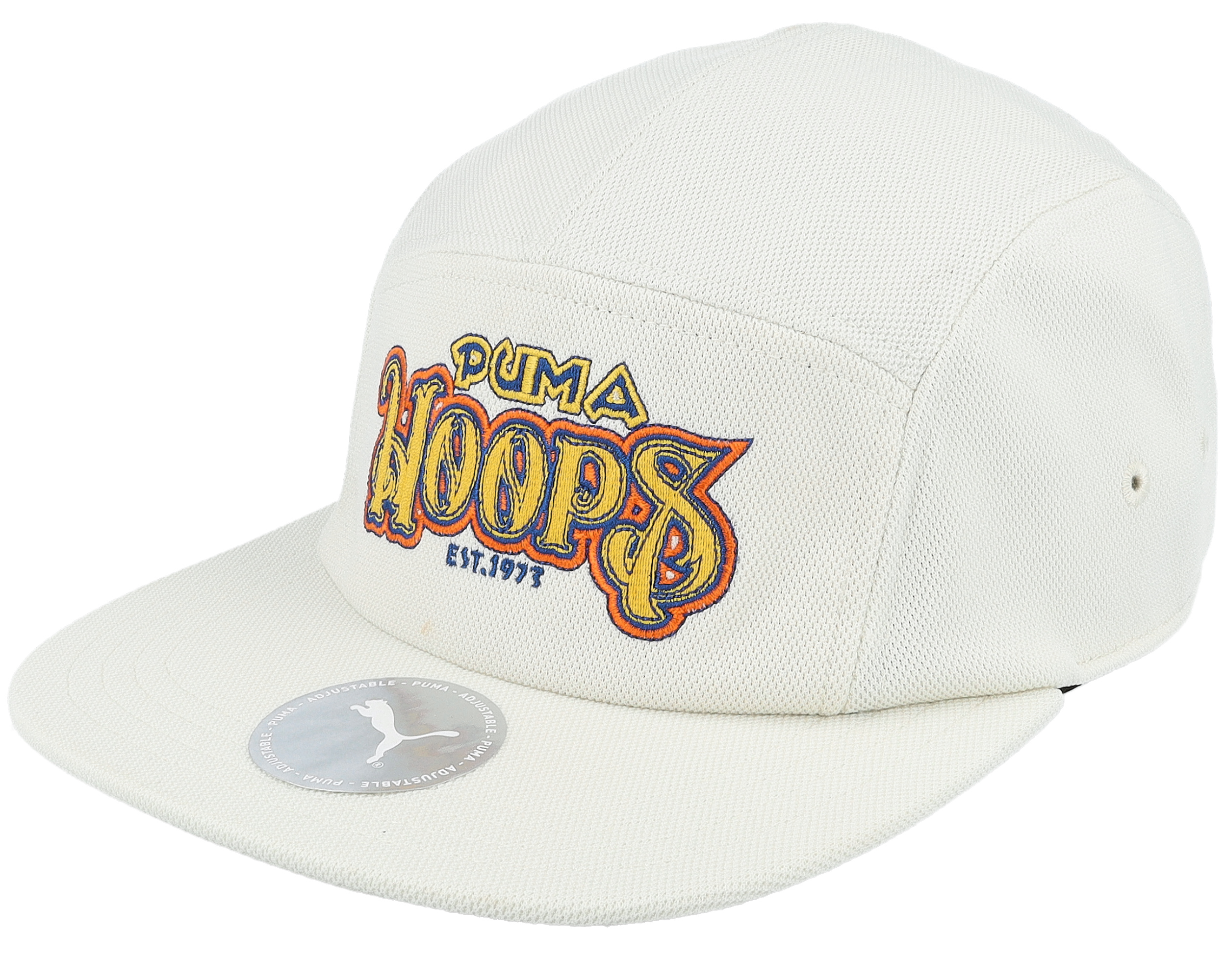 Basketball Alpine Snow 5-Panel | Hatstoreworld.com