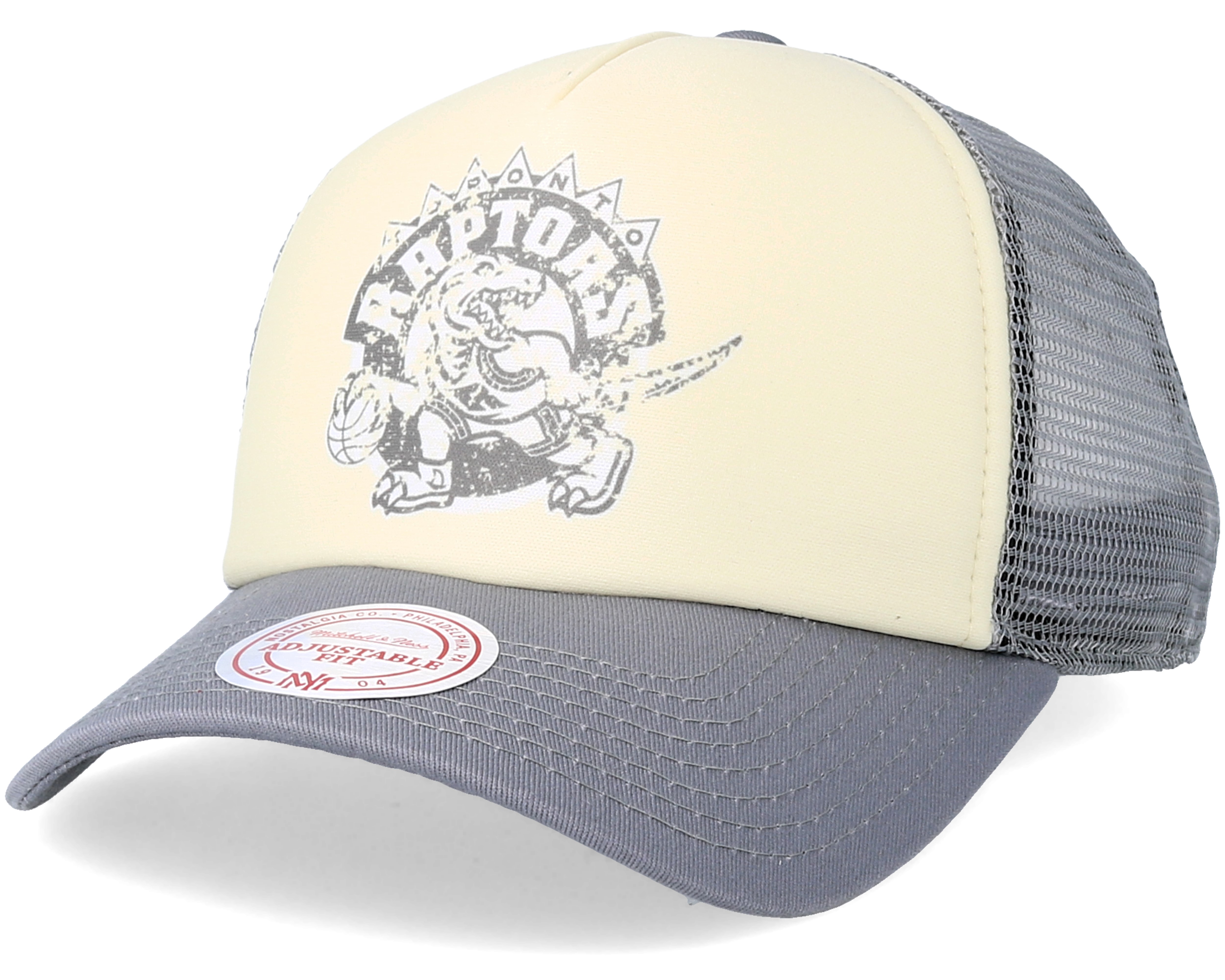 Toronto Raptors The Distressed Print P.P Stone/Charcoal Trucker ...