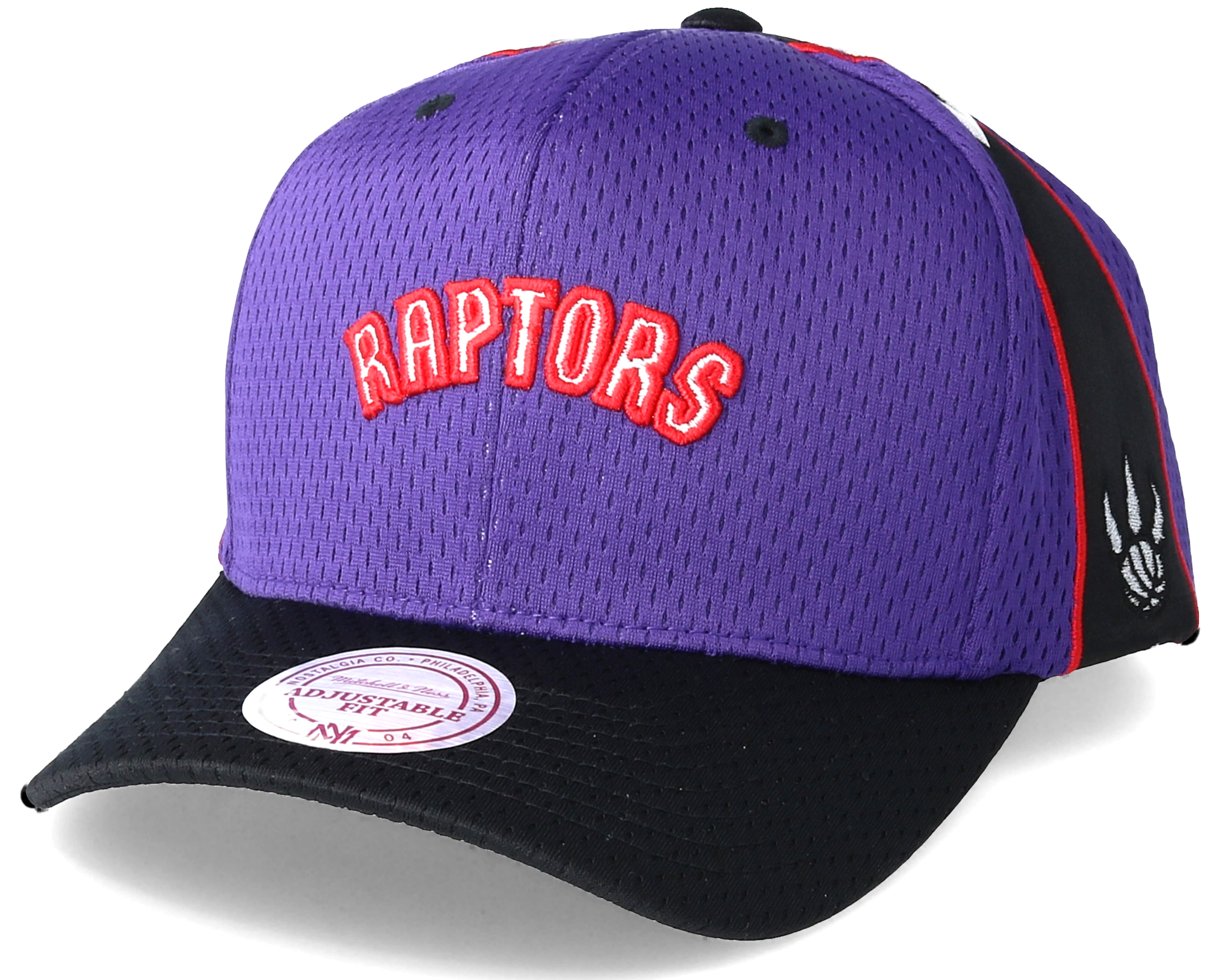Toronto Raptors Jersey Purple Snapback | Hatstoreworld.com