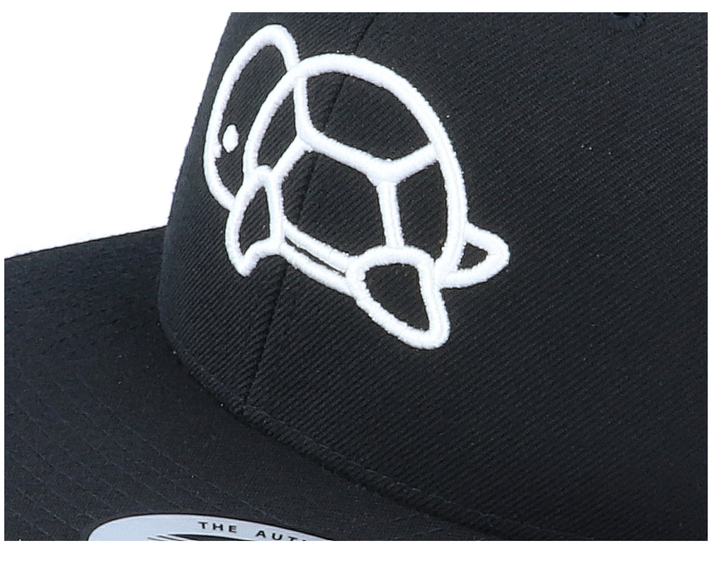 Kids 3D Turtle Black Snapback - Kiddo Cap cap | Hatstoreworld.com