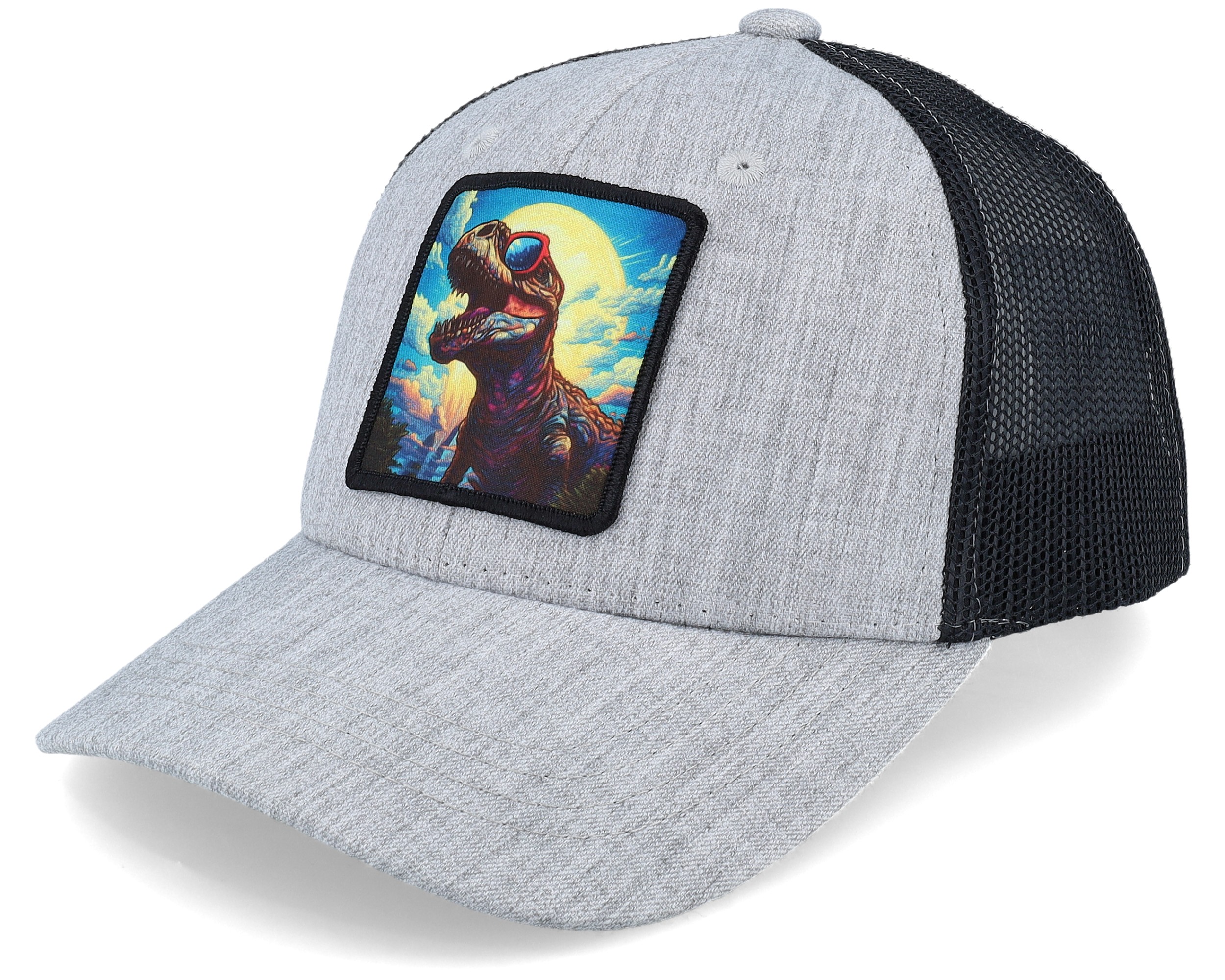 Kids T-rex With Sun Glasses Heather Grey/Black - Kiddo Cap ...